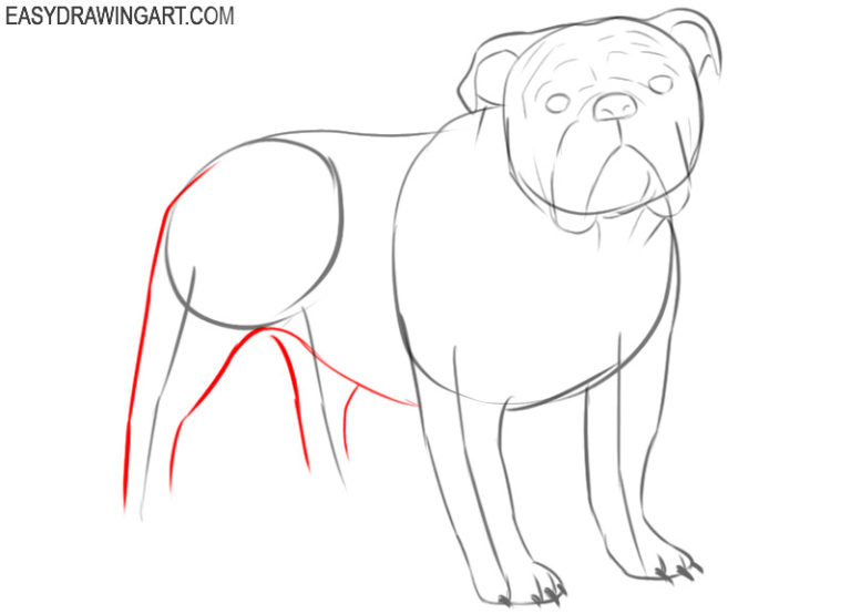 How to Draw a Bulldog - Easy Drawing Art