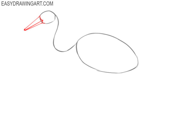 How to Draw a Crane Bird - Easy Drawing Art