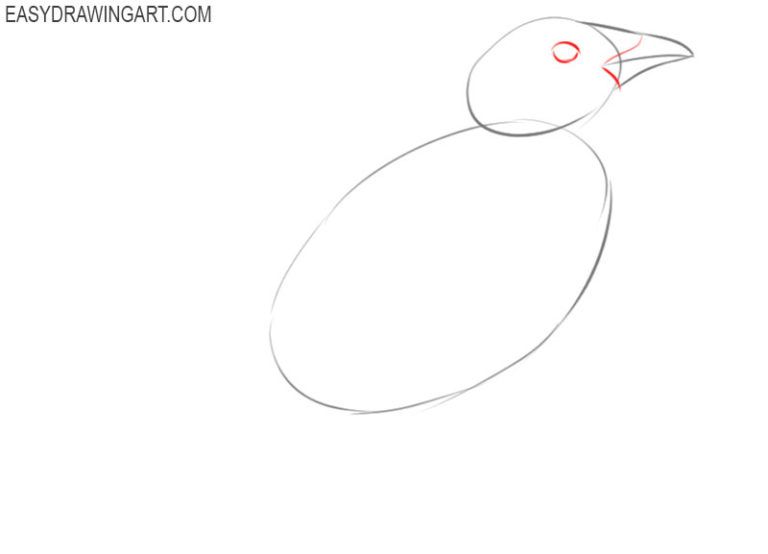 How to Draw a Crow - Easy Drawing Art