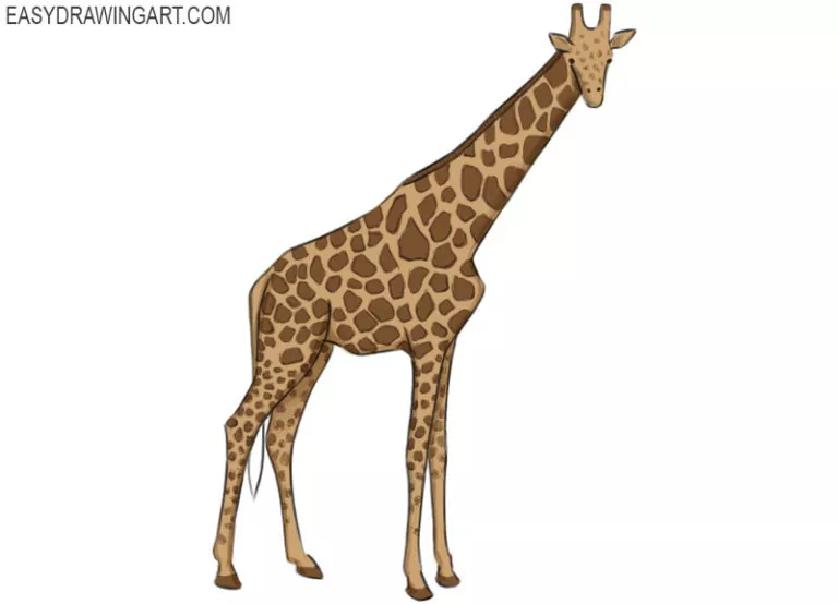 How to Draw a Giraffe - Easy Drawing Art