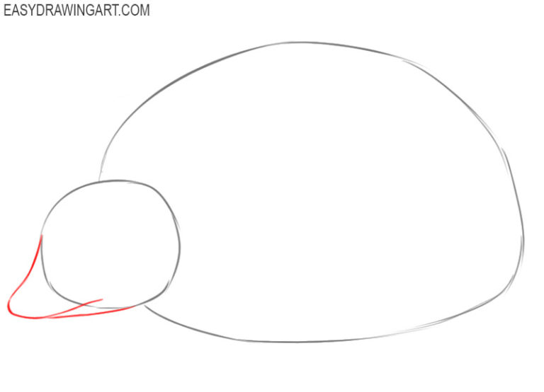 How to Draw a Hedgehog - Easy Drawing Art