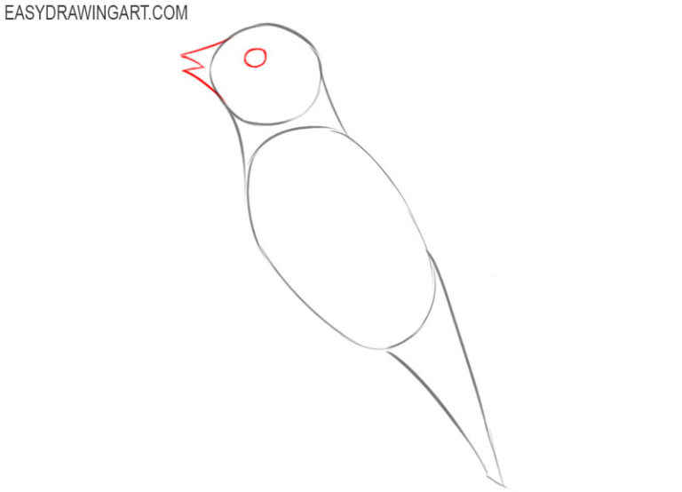 How to Draw a Hummingbird - Easy Drawing Art