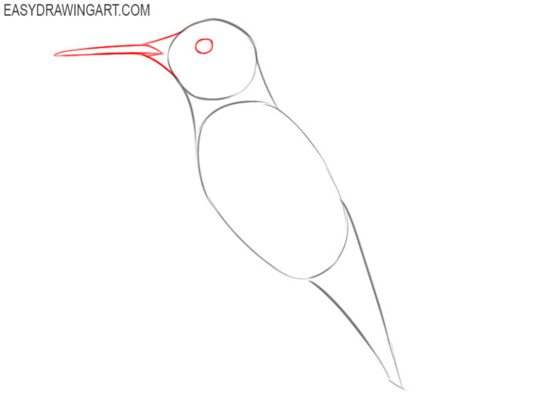How to Draw a Hummingbird - Easy Drawing Art