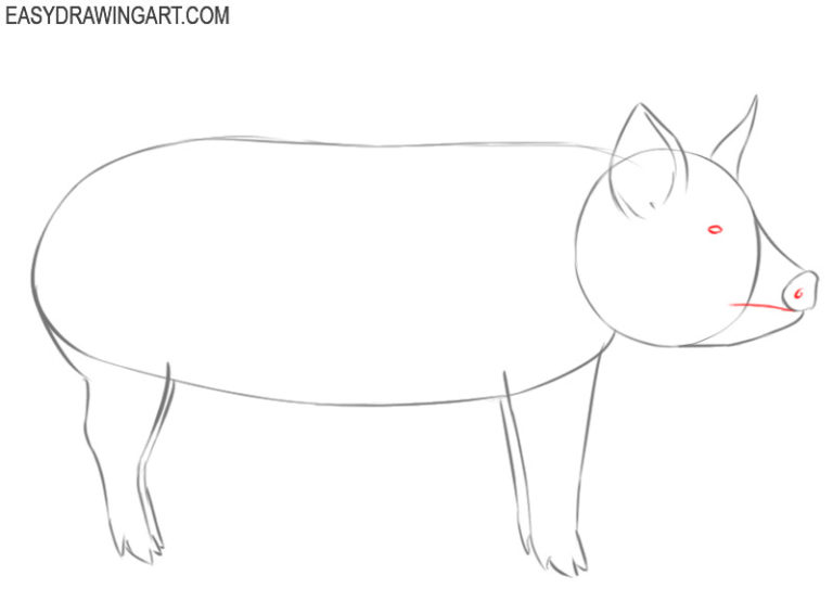 How to Draw a Pig - Easy Drawing Art