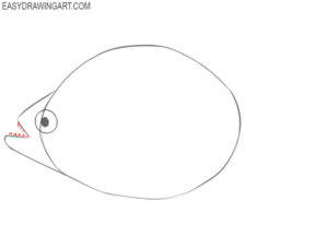 How to Draw a Piranha - Easy Drawing Art