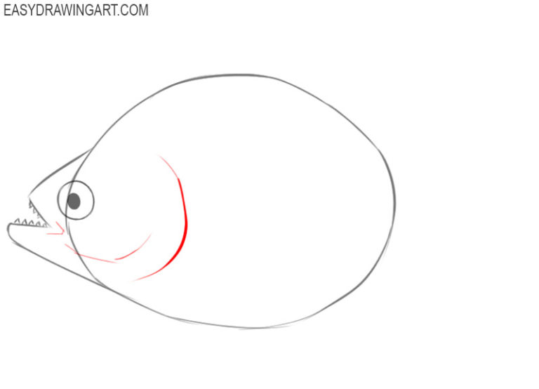 How to Draw a Piranha - Easy Drawing Art