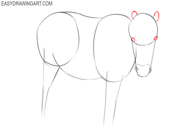 How to Draw a Pony - Easy Drawing Art