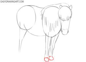 How to Draw a Pony - Easy Drawing Art