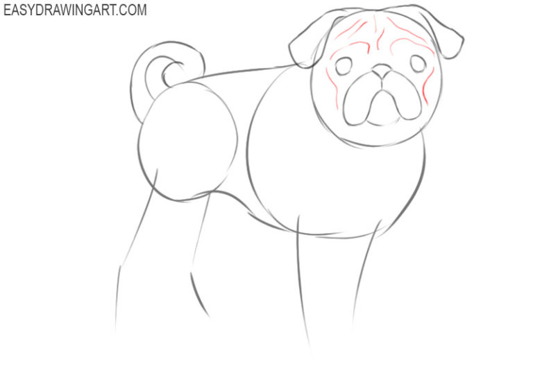 How to Draw a Pug - Easy Drawing Art