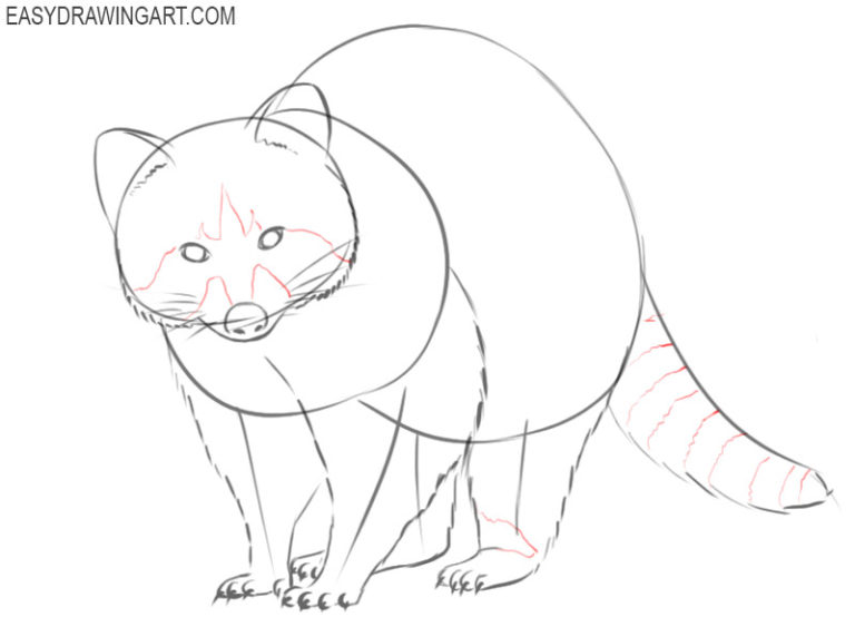 How to Draw a Raccoon - Easy Drawing Art