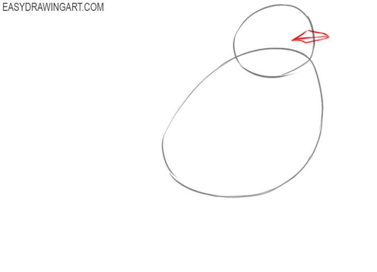 How to Draw a Robin - Easy Drawing Art