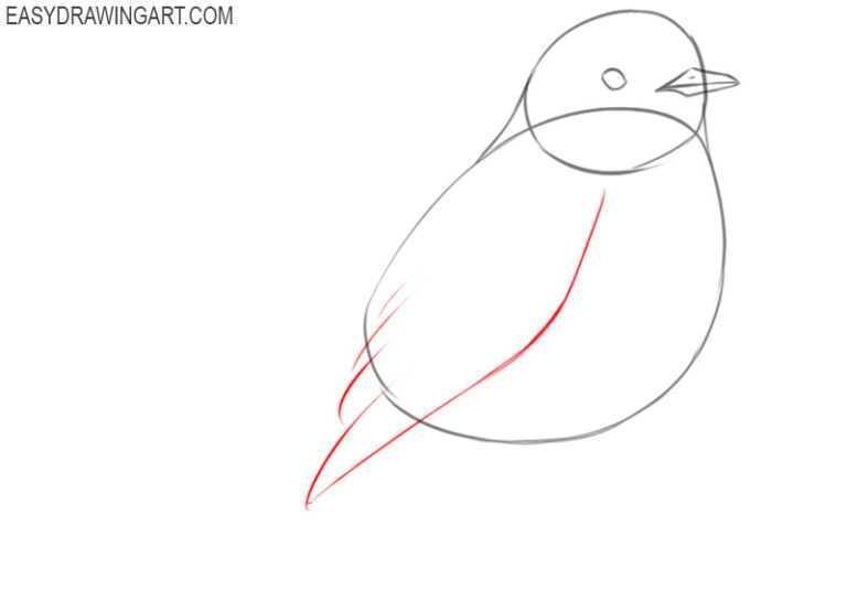 How to Draw a Robin - Easy Drawing Art