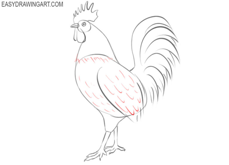 How to Draw a Rooster - Easy Drawing Art