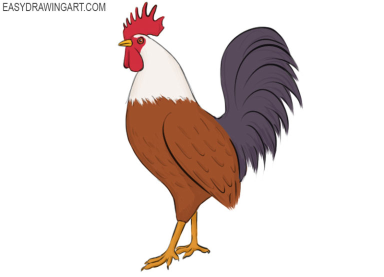 How to Draw a Rooster - Easy Drawing Art