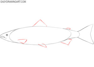 How to Draw a Salmon - Easy Drawing Art