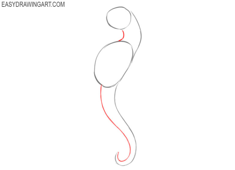 How to Draw a Seahorse - Easy Drawing Art