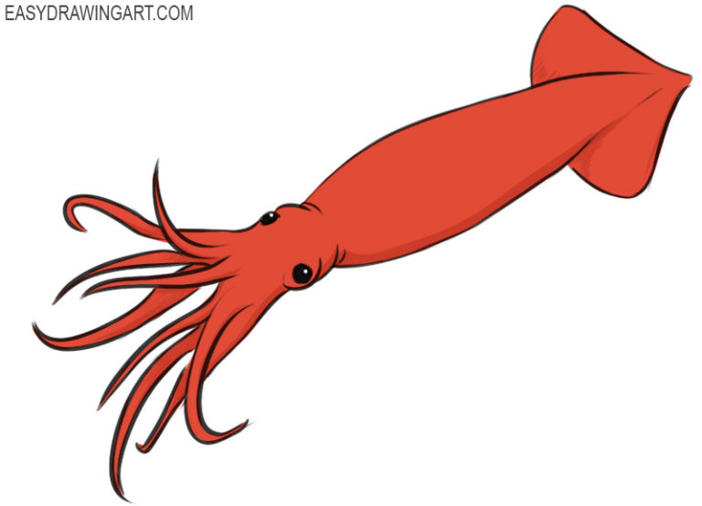 How to Draw a Squid - Easy Drawing Art