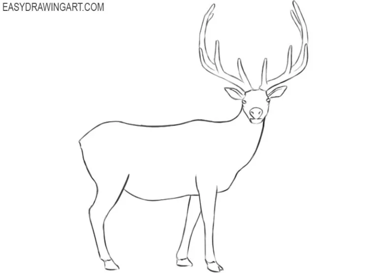 How to Draw an Elk - Easy Drawing Art