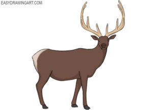 How to Draw an Elk - Easy Drawing Art