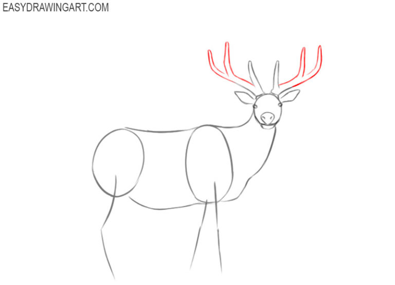 How to Draw an Elk - Easy Drawing Art