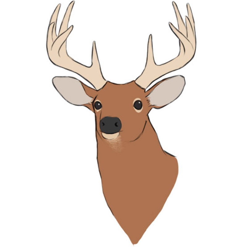 How To Draw A Deer Head Easy Drawing Art
