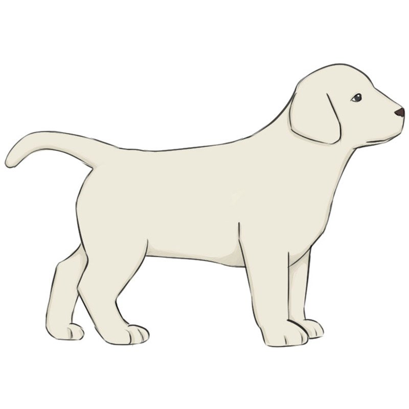 Step How To Draw A Puppy Face Learn How To Draw A Cute Dog Emoji Pug For Beginners Step By 