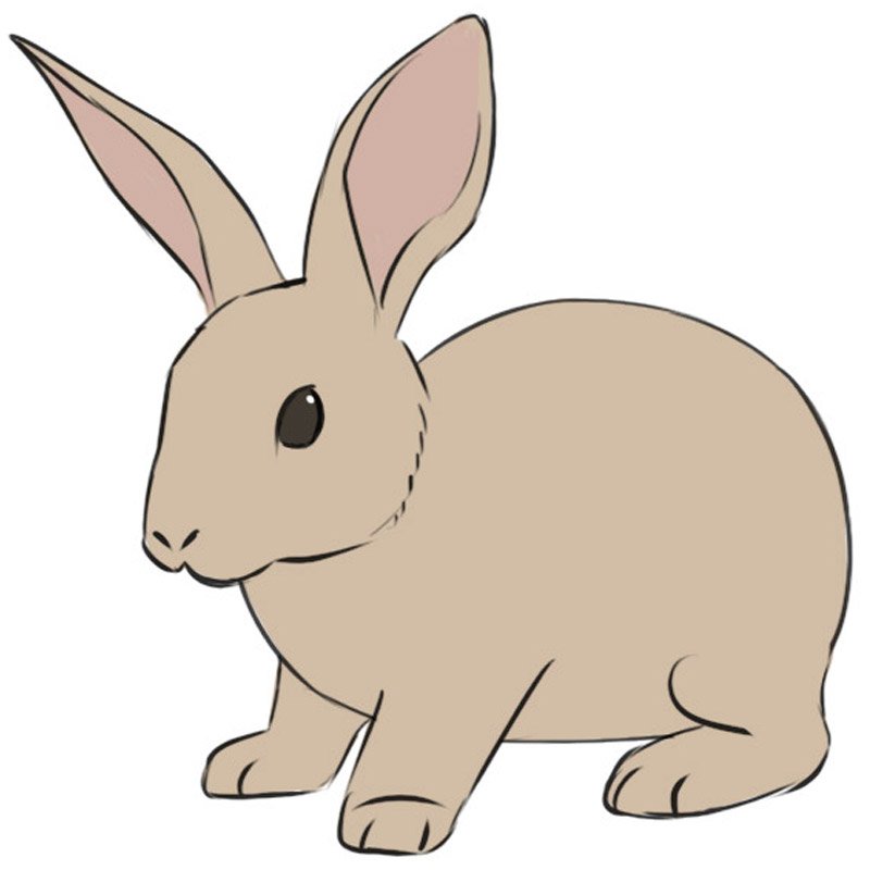Bunny Drawing Printable