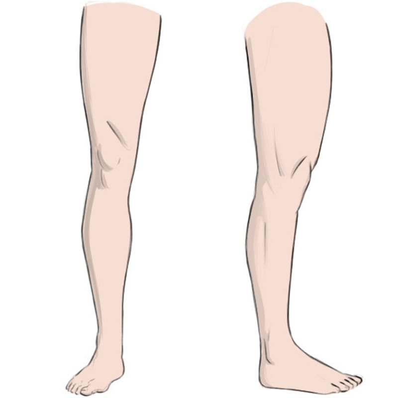 How To Draw Legs Easy Drawing Art How To Draw Legs Easy Drawing Art