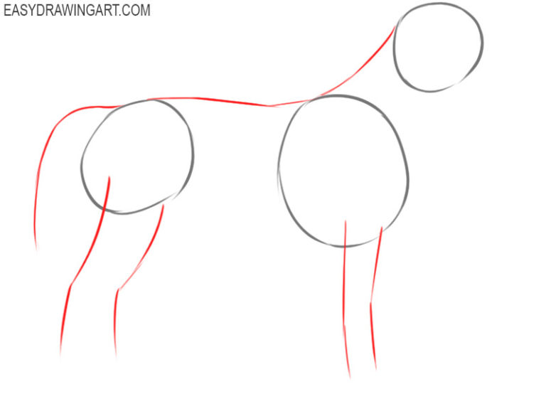 How to Draw a Beagle - Easy Drawing Art