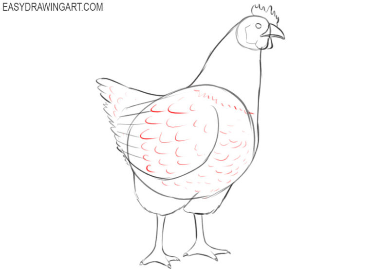 How to Draw a Chicken - Easy Drawing Art