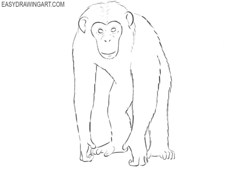 How to Draw a Chimpanzee - Easy Drawing Art
