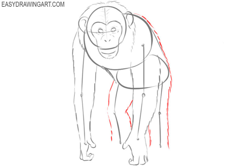 How to Draw a Chimpanzee - Easy Drawing Art