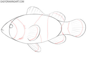 How to Draw a Clownfish - Easy Drawing Art
