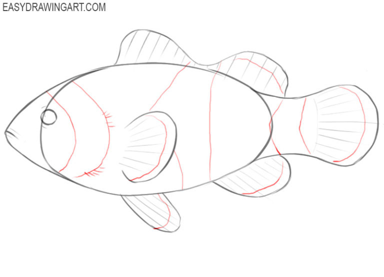 How to Draw a Clownfish - Easy Drawing Art