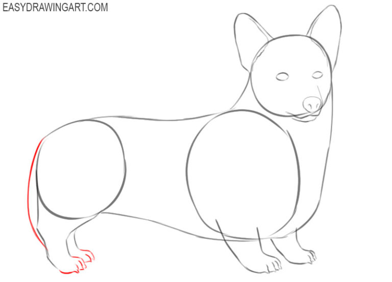 How to Draw a Corgi - Easy Drawing Art