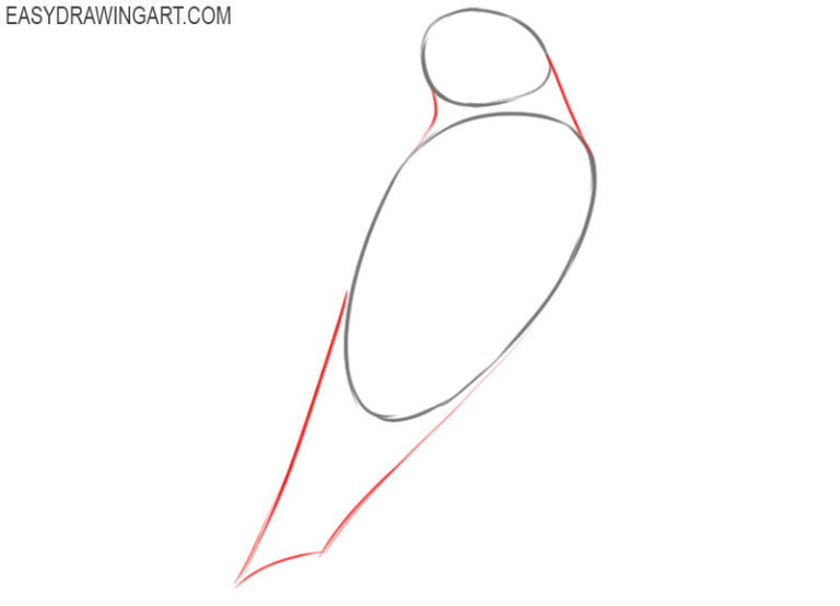 How to Draw a Falcon - Easy Drawing Art