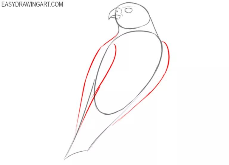 How to Draw a Falcon - Easy Drawing Art