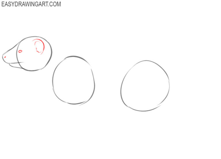 How to Draw a Ferret - Easy Drawing Art