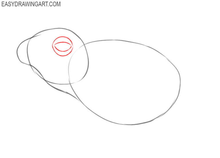 How to Draw a Frog - Easy Drawing Art