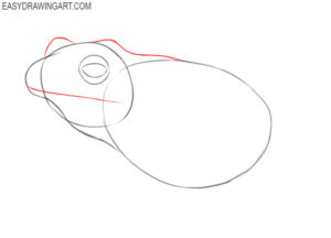 How to Draw a Frog - Easy Drawing Art