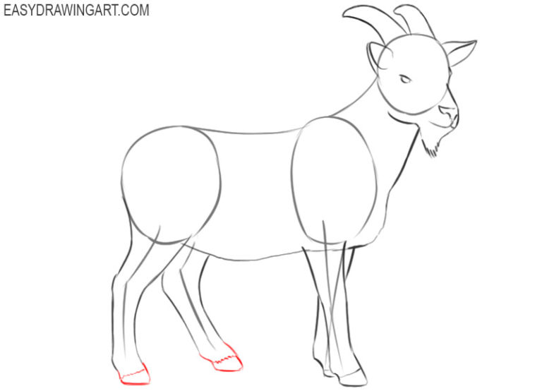 How to Draw a Goat - Easy Drawing Art