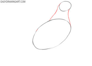 How to Draw a Hawk - Easy Drawing Art
