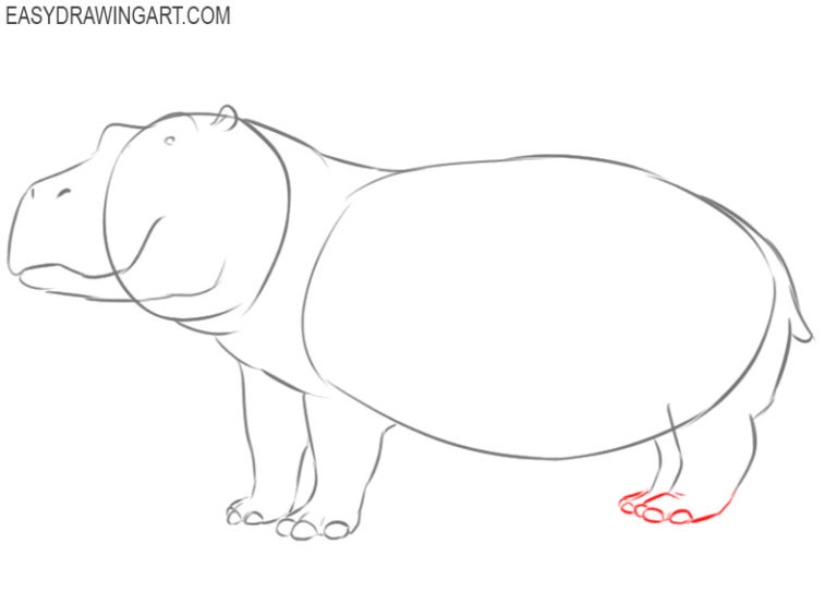 How to Draw a Hippopotamus - Easy Drawing Art
