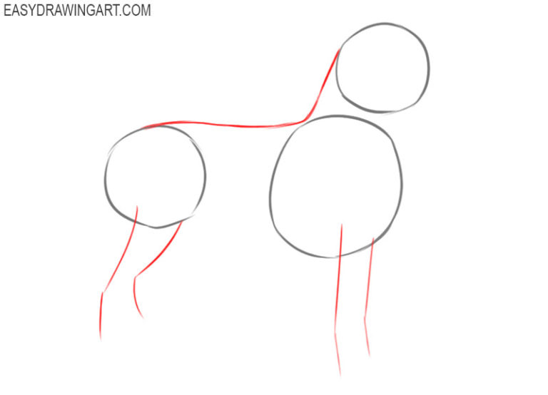 How to Draw a Husky - Easy Drawing Art