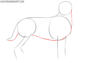 How to Draw a Labrador - Easy Drawing Art