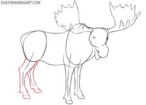 How to Draw a Moose - Easy Drawing Art