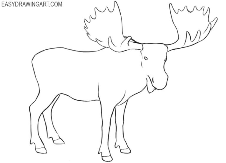 How to Draw a Moose - Easy Drawing Art