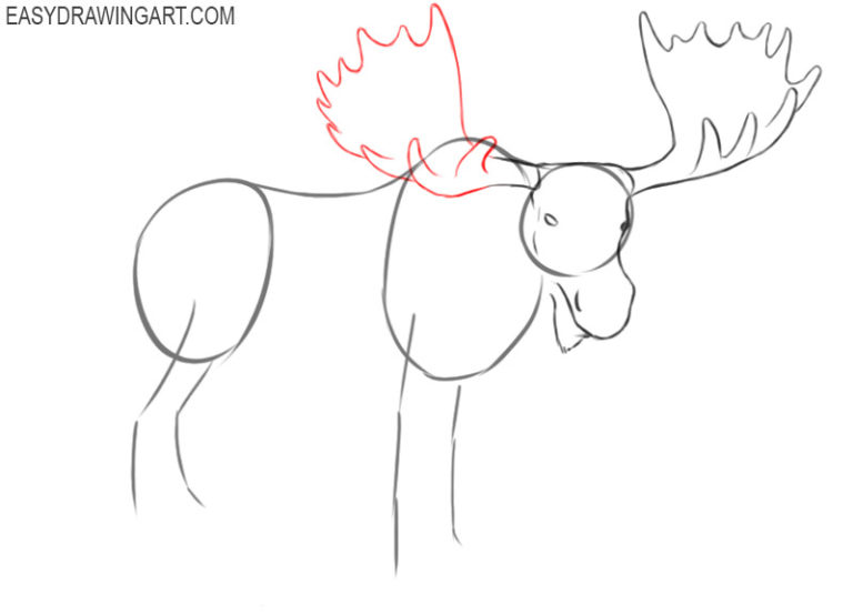 How to Draw a Moose - Easy Drawing Art