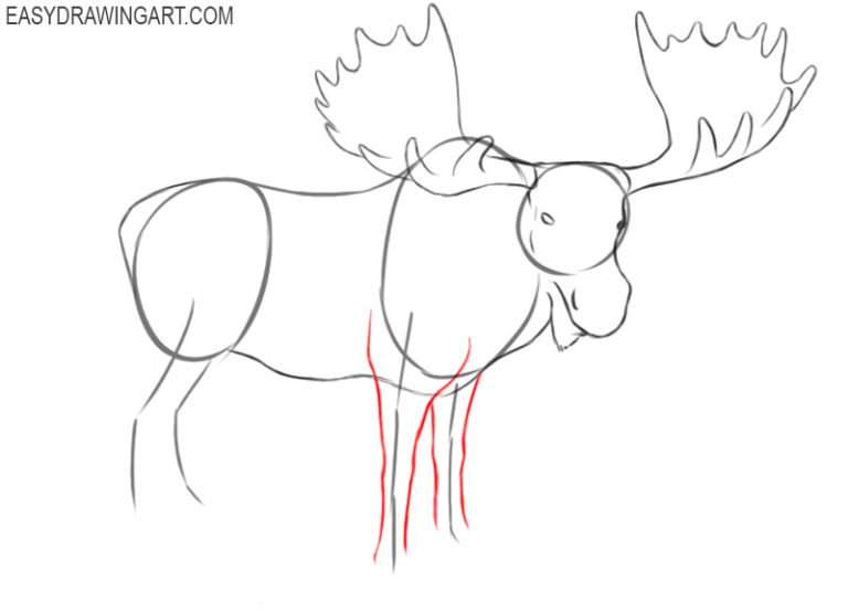 How to Draw a Moose - Easy Drawing Art