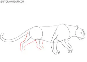 How to Draw a Panther - Easy Drawing Art
